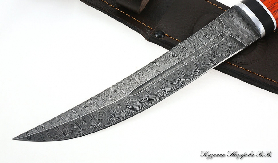 Knife Plastun (Cossack plastun knife) Damascus black hornbeam paduk ...